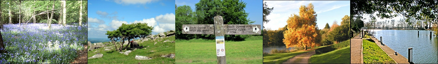 Free Flintshire Walking Routes | Flintshire Walks from across the web.